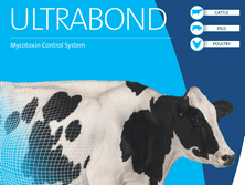 Toxin Binders. Mycotoxins in Dairy Cows, Cattle and Livestock Feeds.